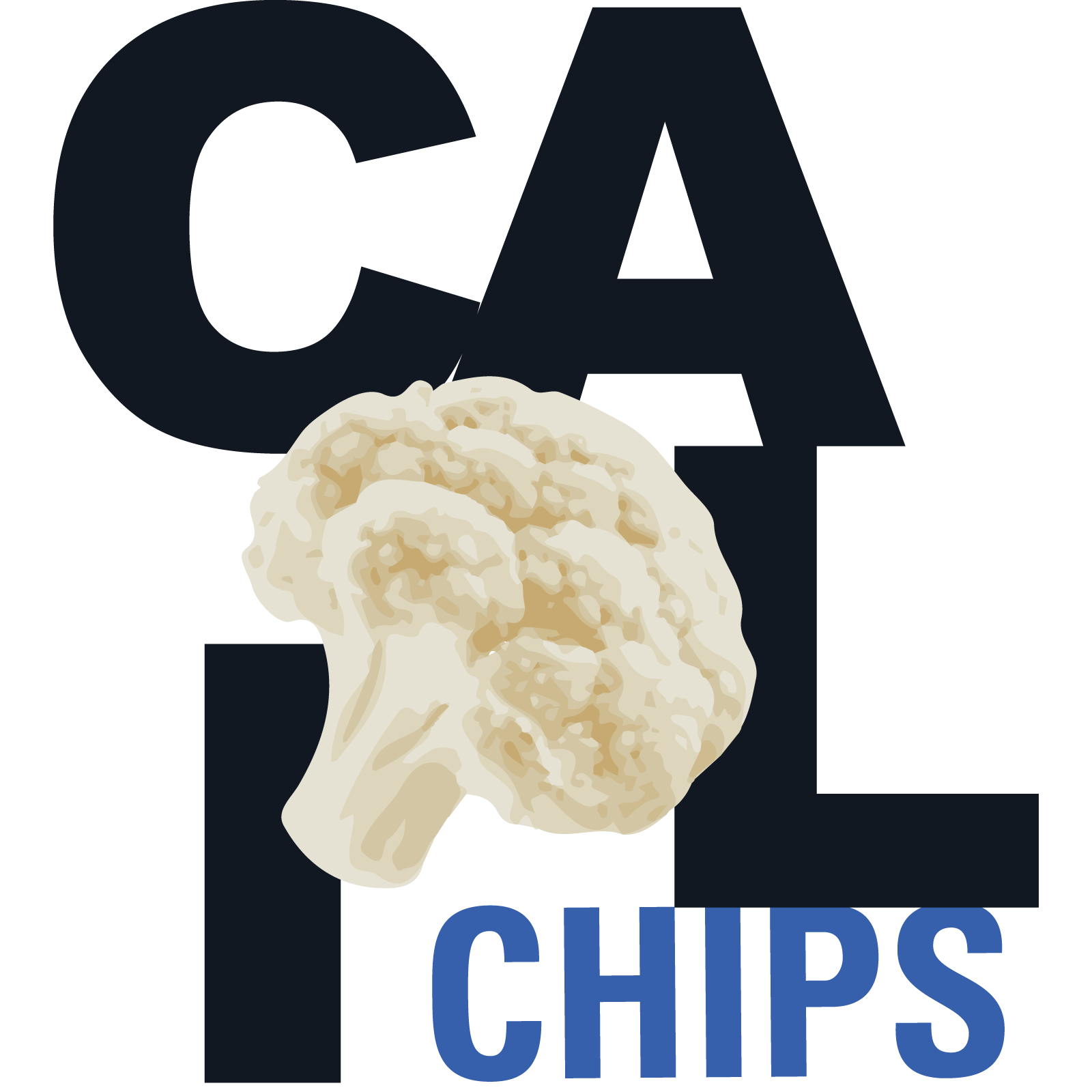 Gluten Free Veggie Chips - Root Foods